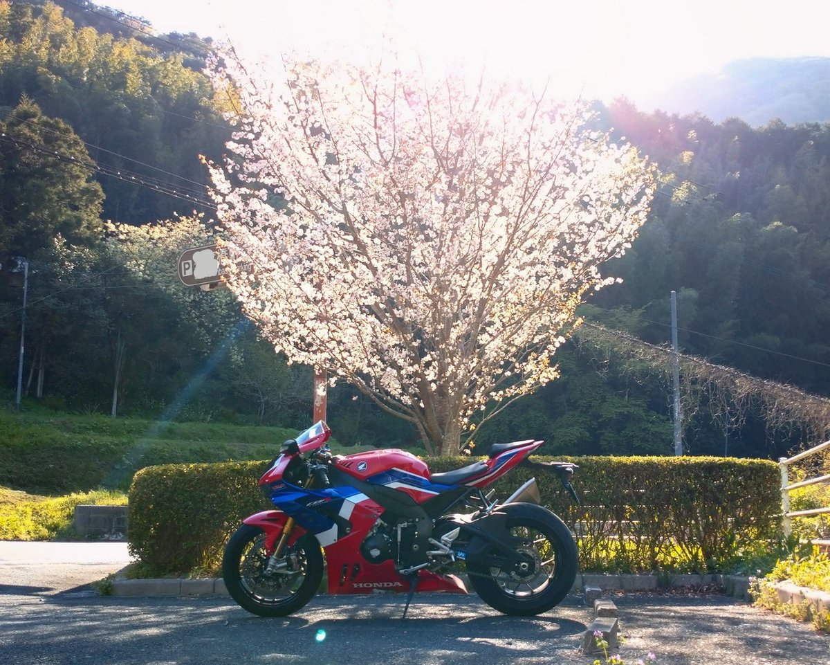 ぜろいち(@Zeroichi_OKP) - Twilog (ツイログ)