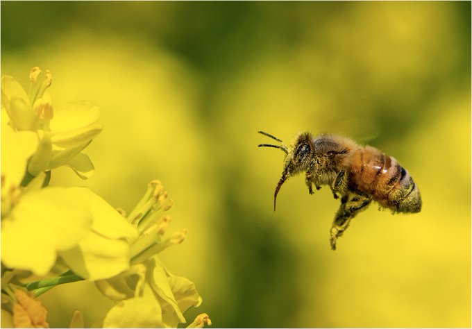 coco(@coco_n) - Twilog