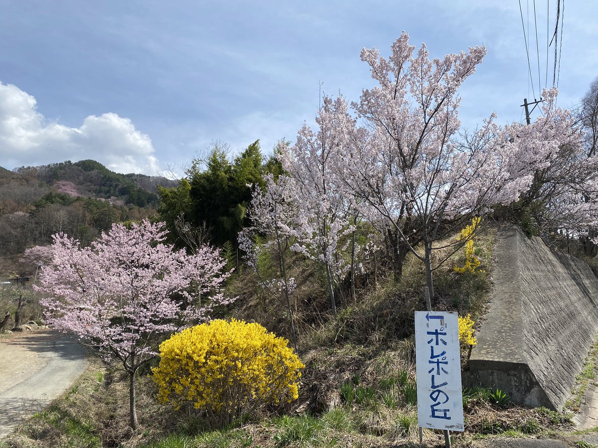 Yasu(@inoue_yasu) - Twilog