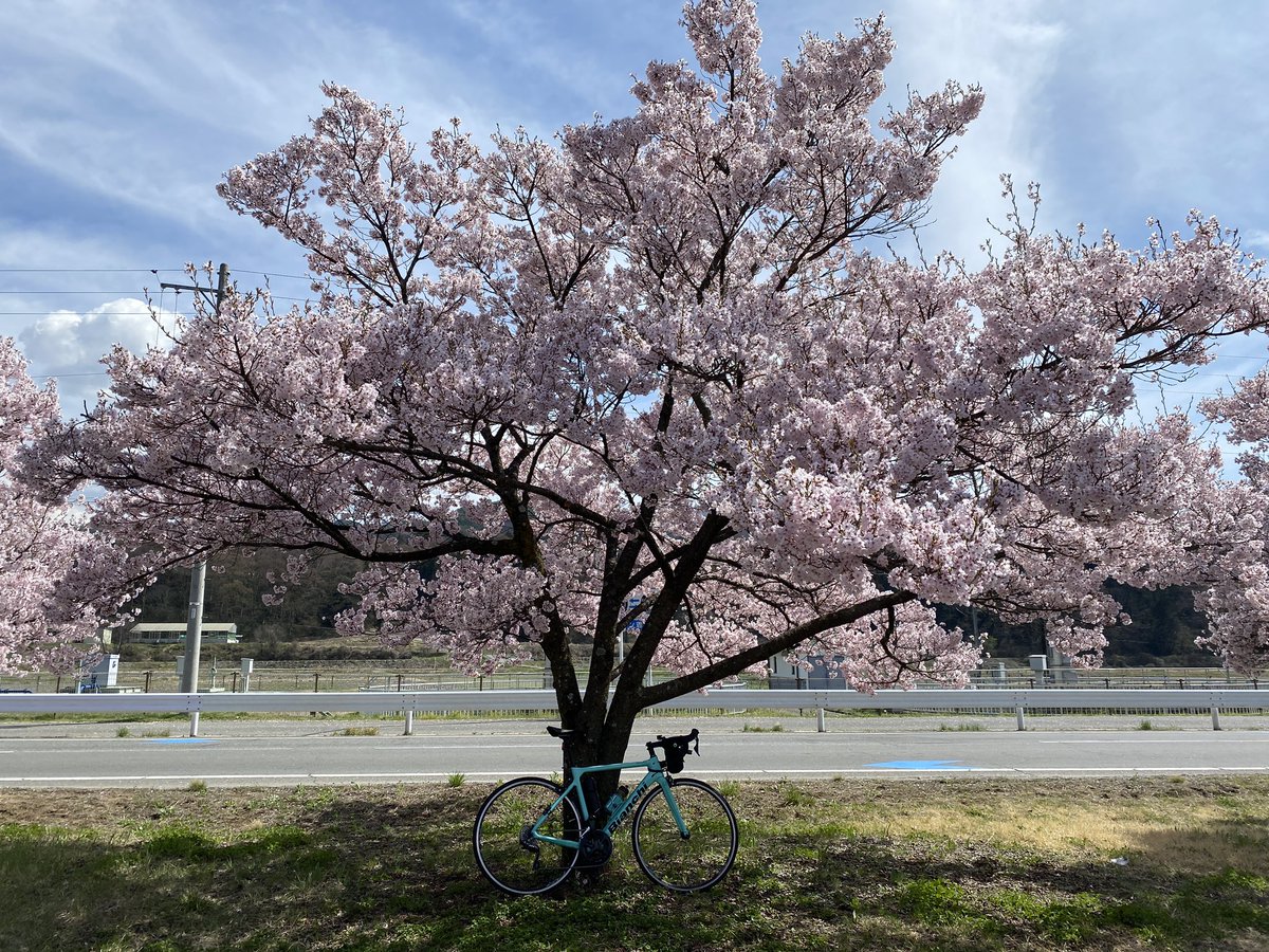 Yasu(@inoue_yasu) - Twilog