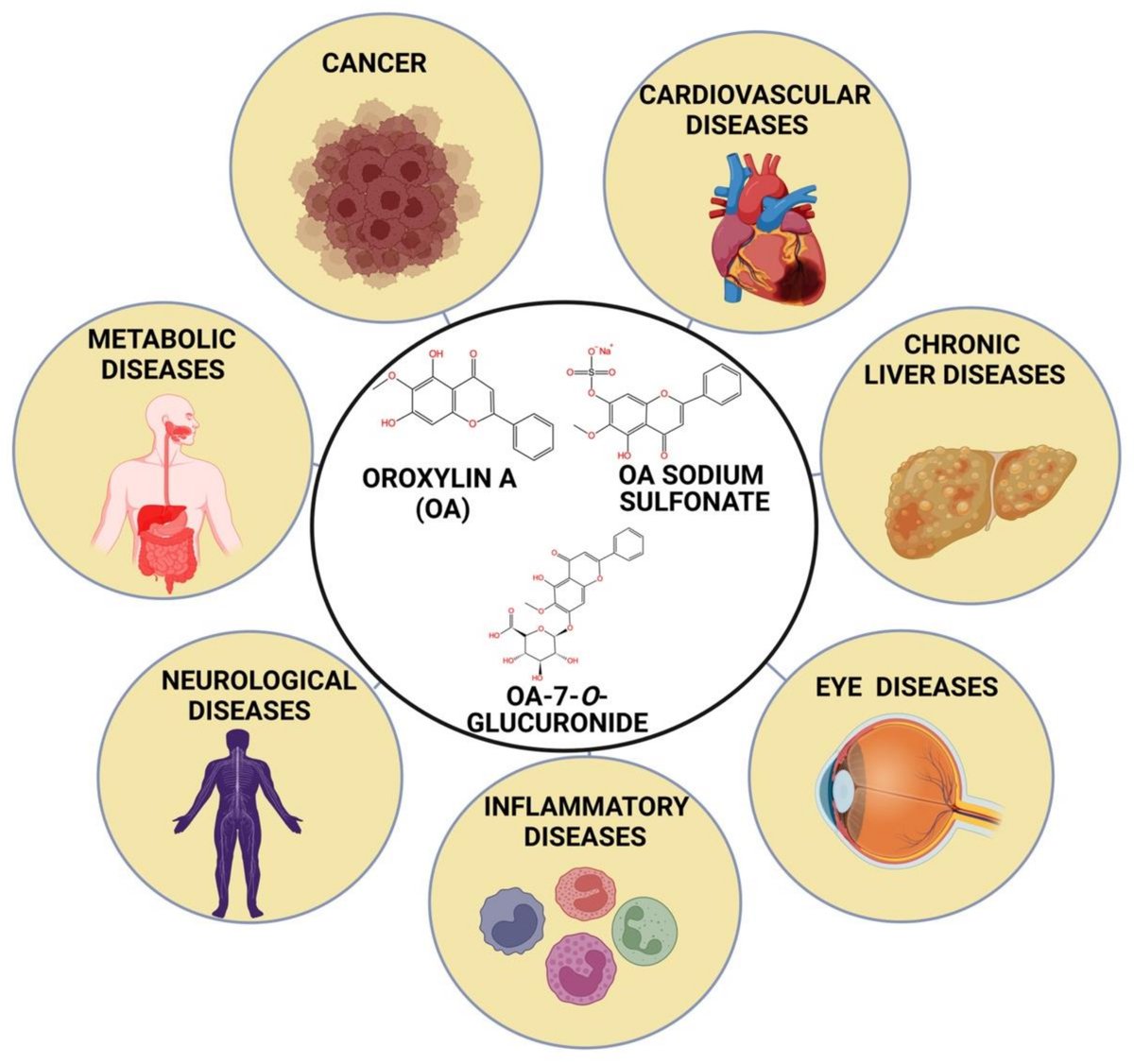 Oroxylin A The flavone with antioxidant, anti-inflammation, anti-bacterial, anti-viral, anti ...