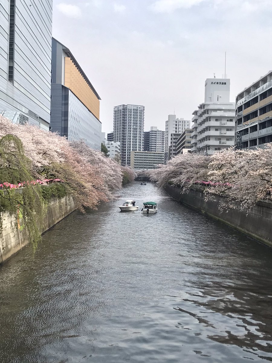 髙津巌(@iwao_taka2) - Twilog