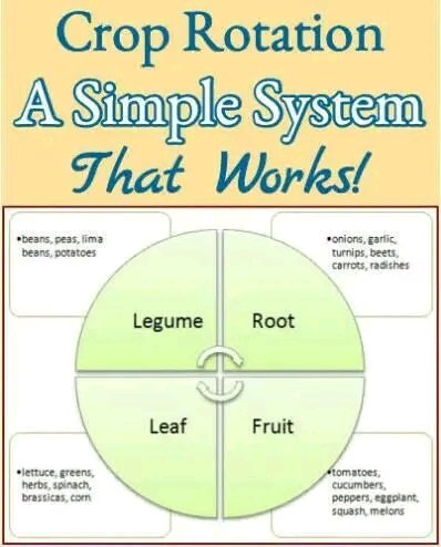 Crop Rotation Diagram