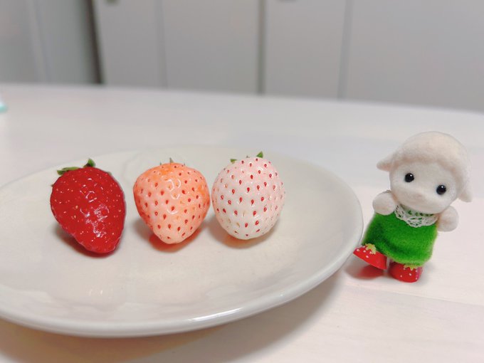 ショウカ(@plus_syouka) - Twilog