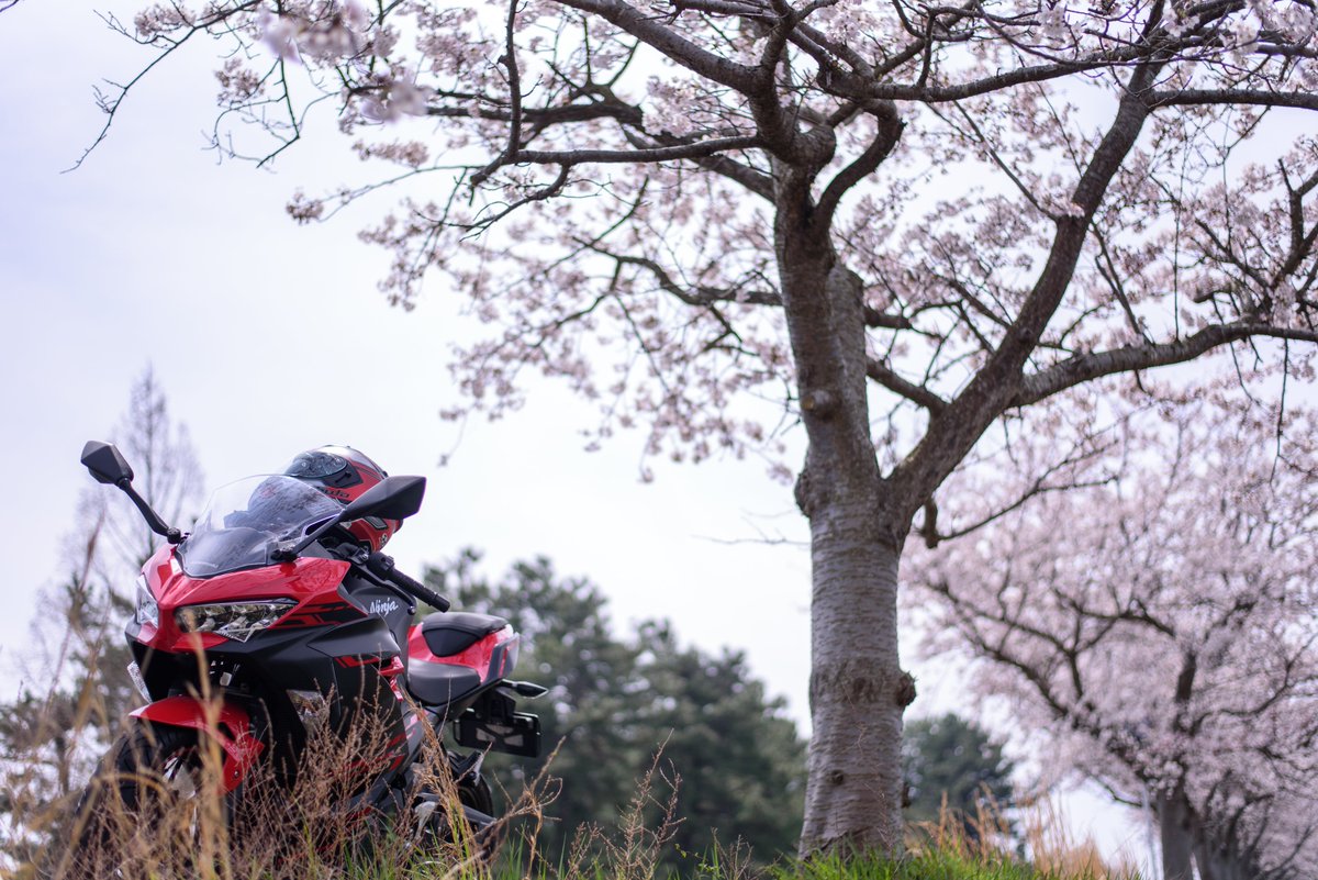 黒味噌(@kuromiso_) - Twilog (ツイログ)