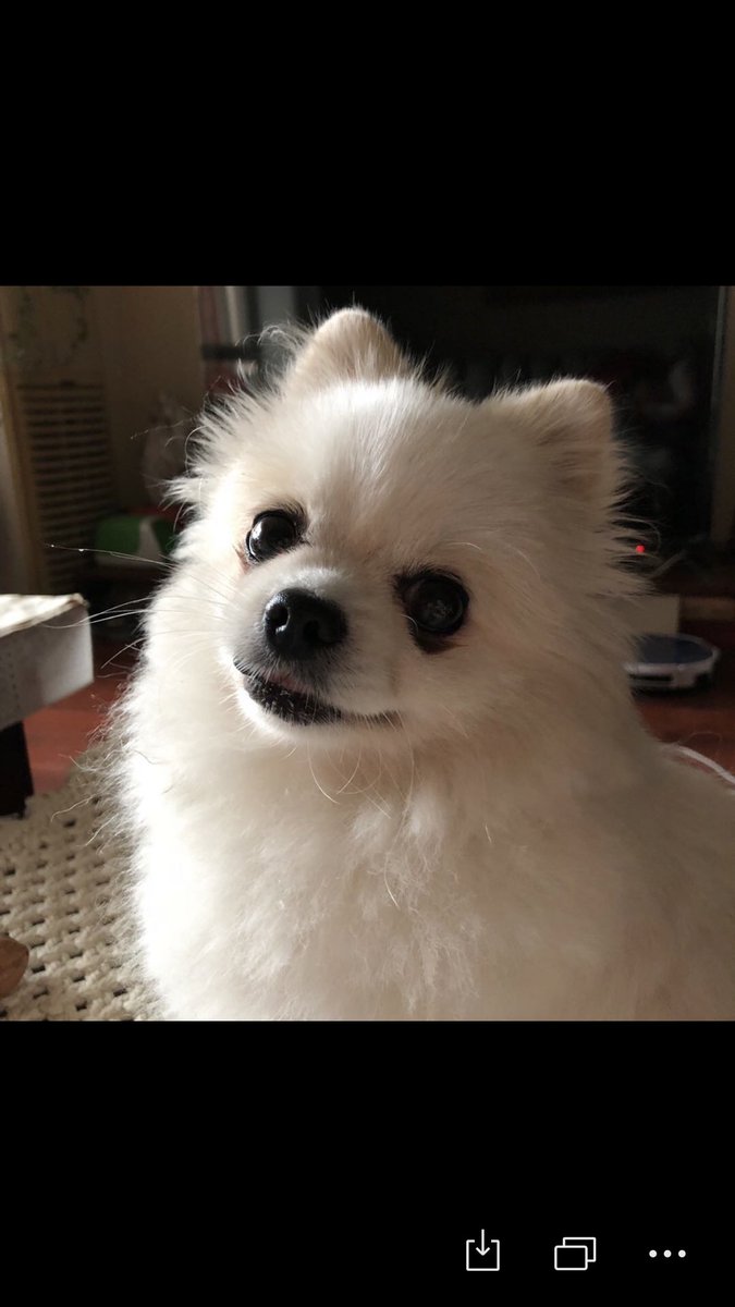 浦志强 On Twitter 他太太聘请的二审辩护律师莫少平、尚宝军,也是我、高瑜和刘晓波的辩护律师。所以,我们有个共同的身份:大家都是莫少平、尚宝军的当事人。