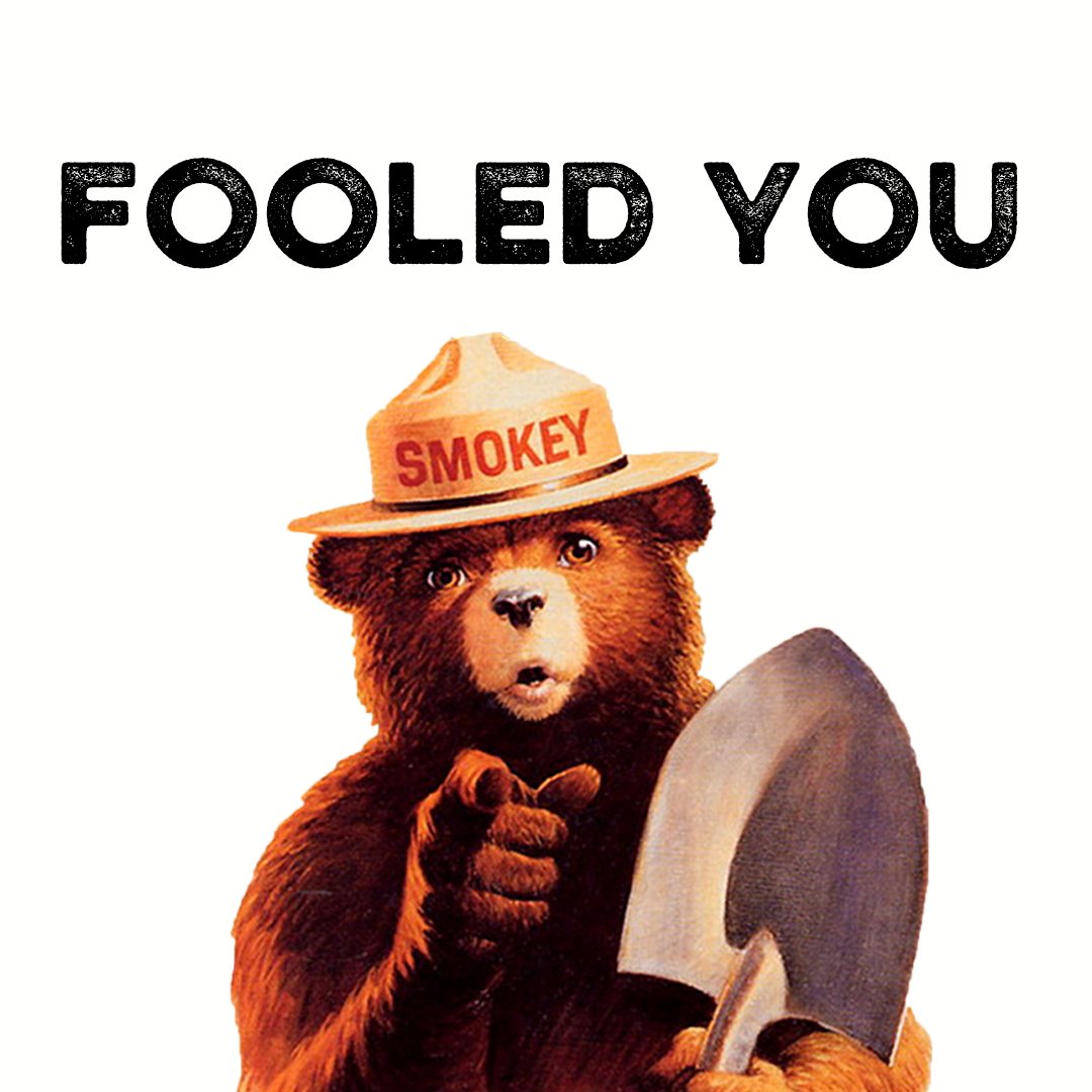 Bear Meme How About No