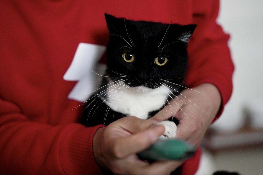 Black Internet Tough Guy