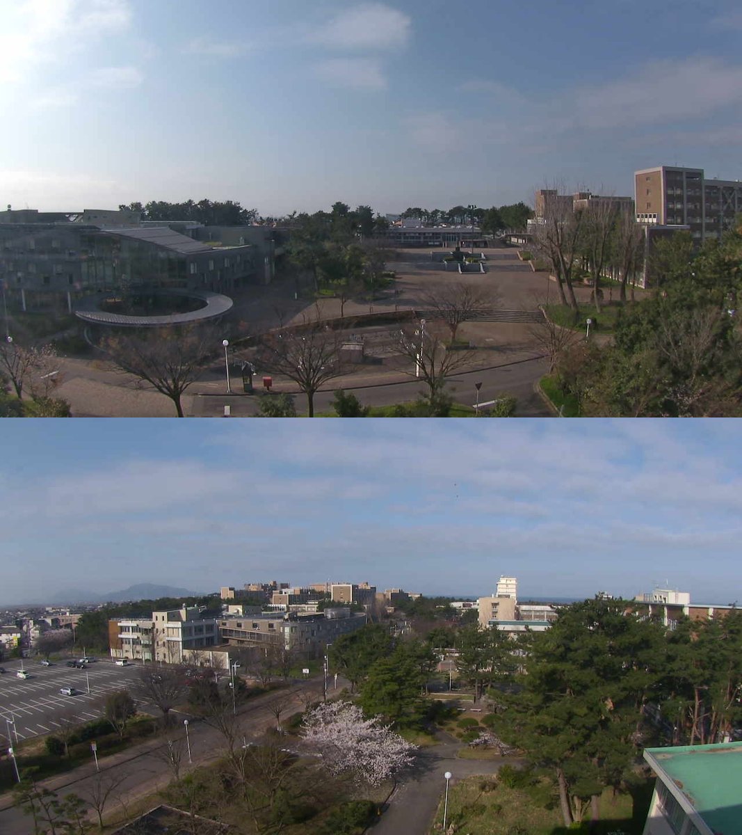 ライブカメ子(@live_cameko) - Twilog