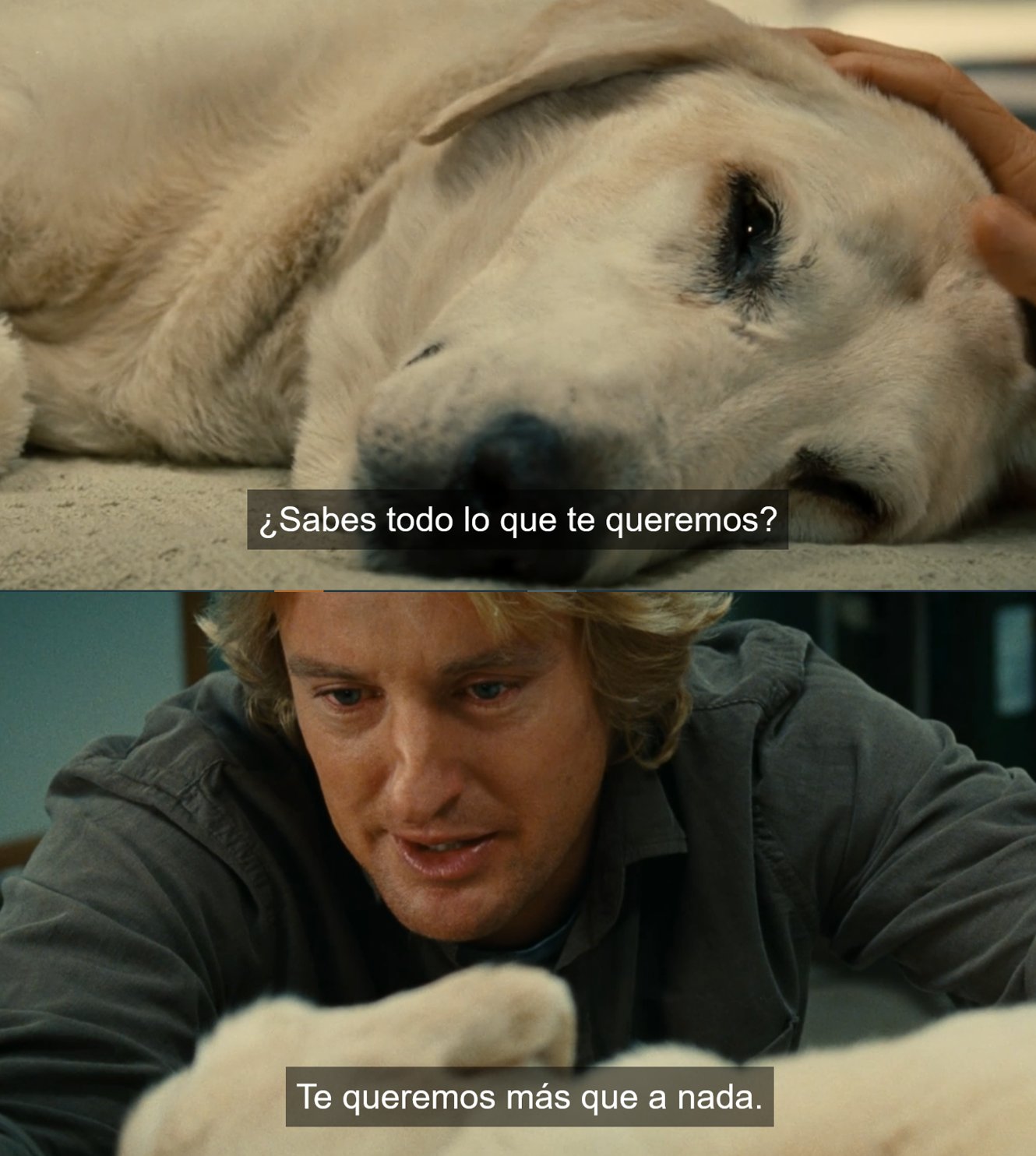 Estoy Llorabdo Memes