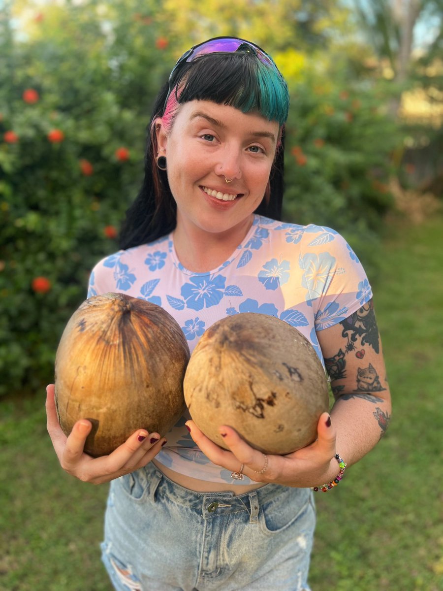 Blossy Blue ~ $6 OF sale on Twitter: "I’ve got a lovely bunch of coconuts 🥥🌴"