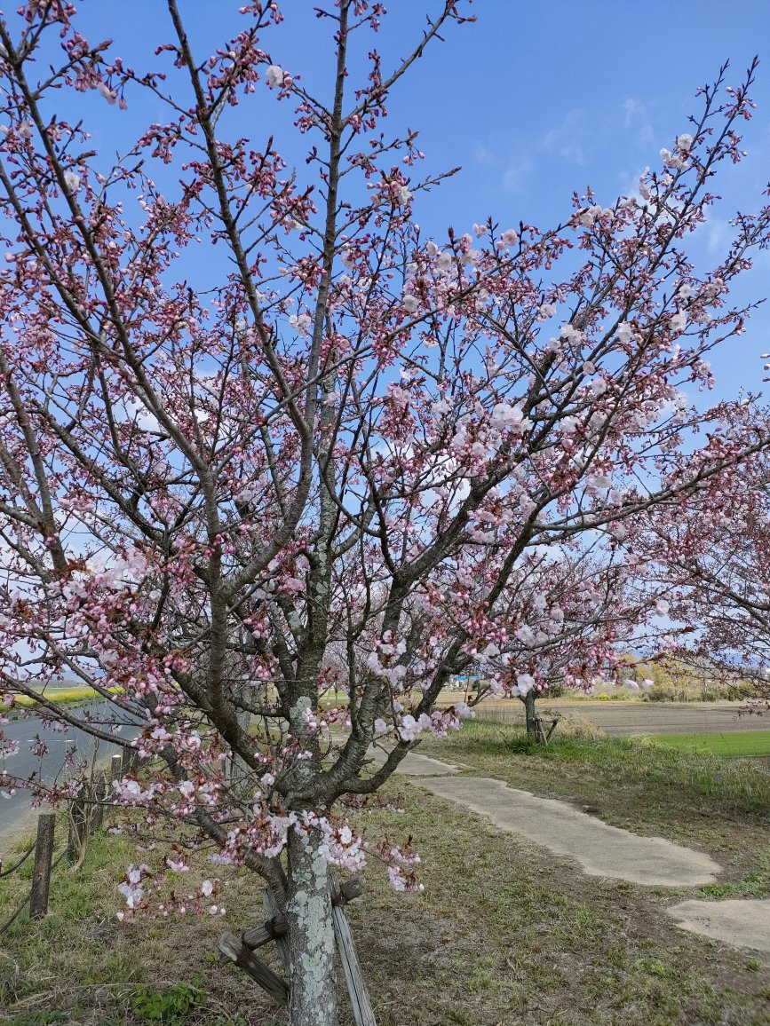 dada2 とらこ(@dada2torako) - Twilog (ツイログ)