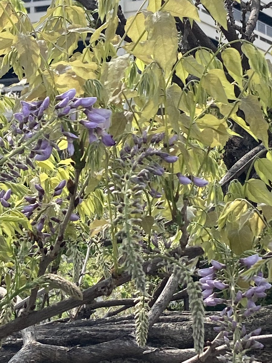 新川貴詩(@shinkawa_takash) - Twilog (ツイログ)