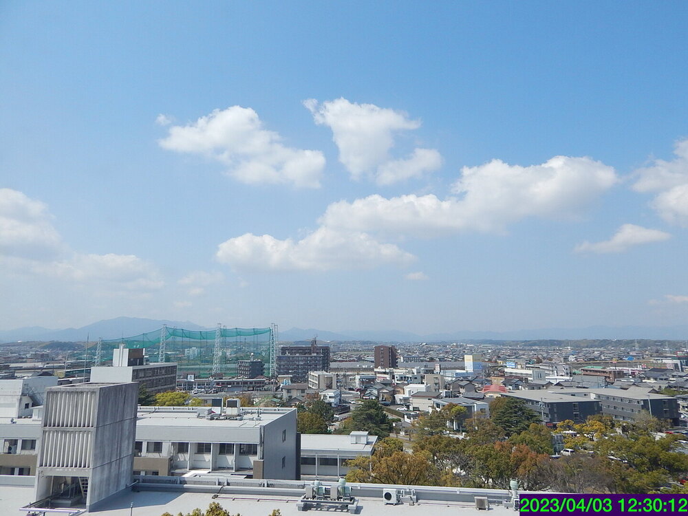 ライブカメ子(@live_cameko) - Twilog