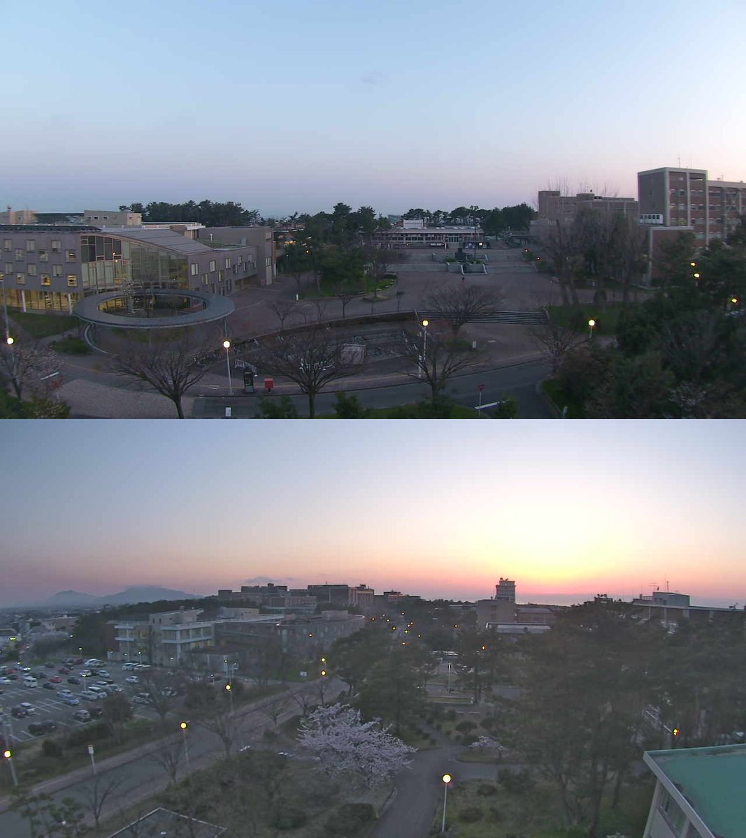 ライブカメ子(@live_cameko) - Twilog