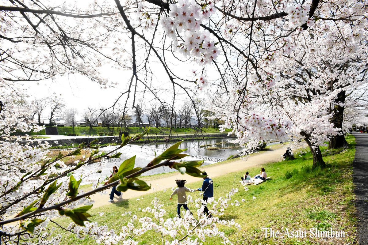 朝日新聞 映像報道部(@asahi_photo) - Twilog (ツイログ)
