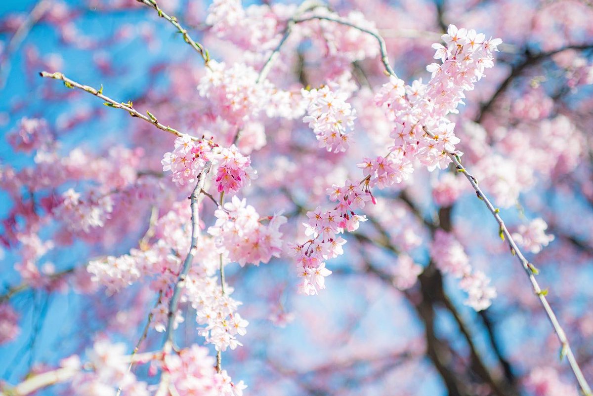 松田大介-Daisuke Matsuda(@dice_k_matsuda) - Twilog