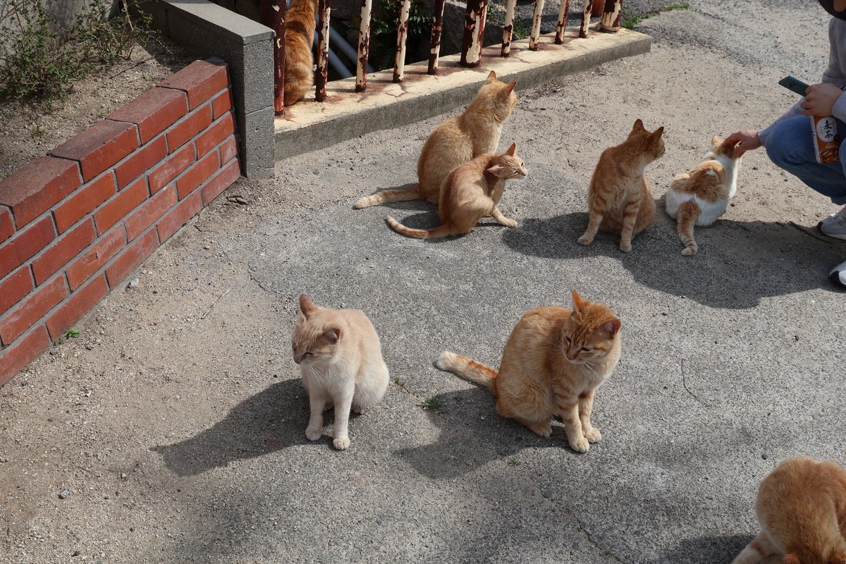 sylph01(@s01) - Twilog