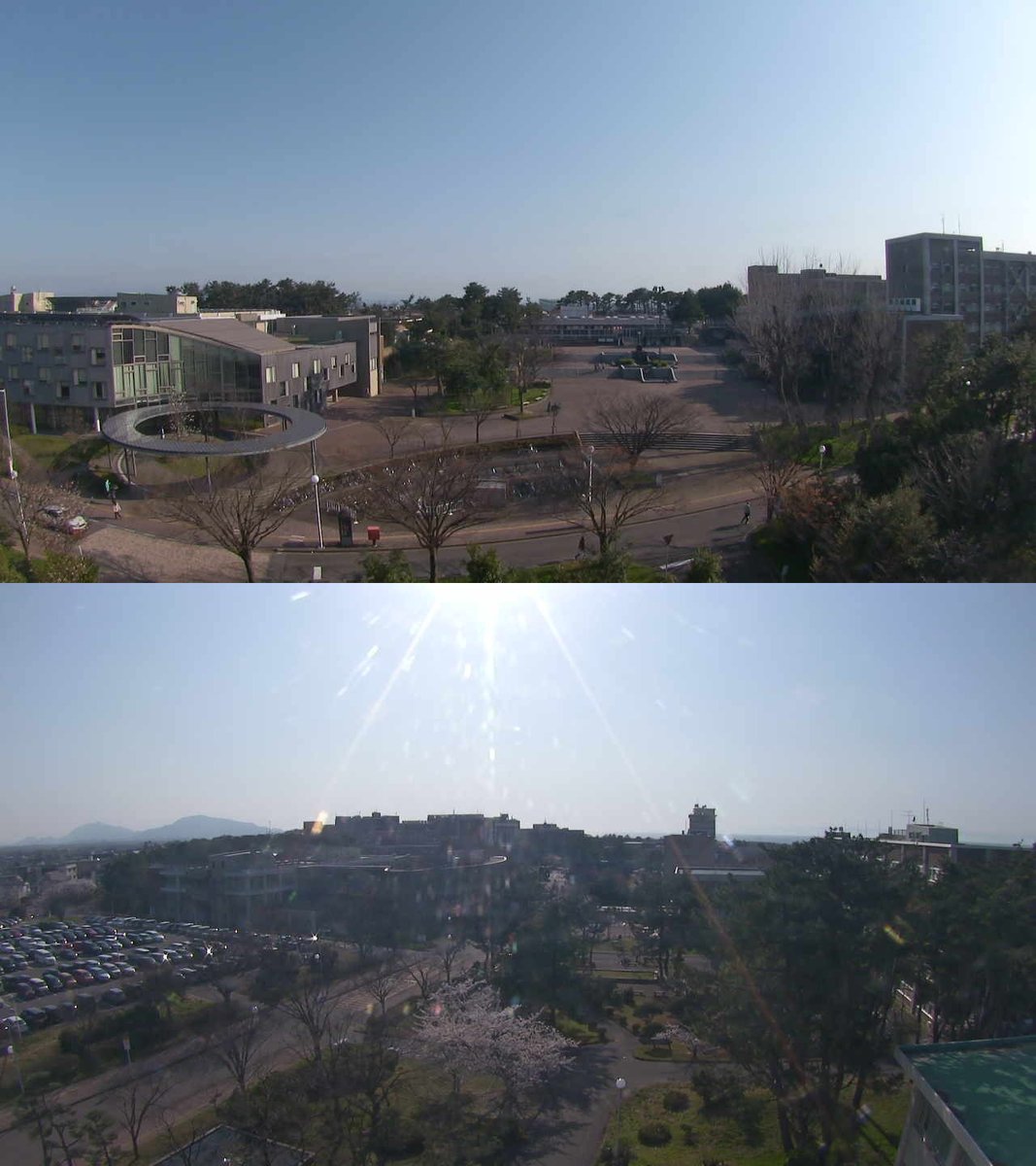 ライブカメ子(@live_cameko) - Twilog