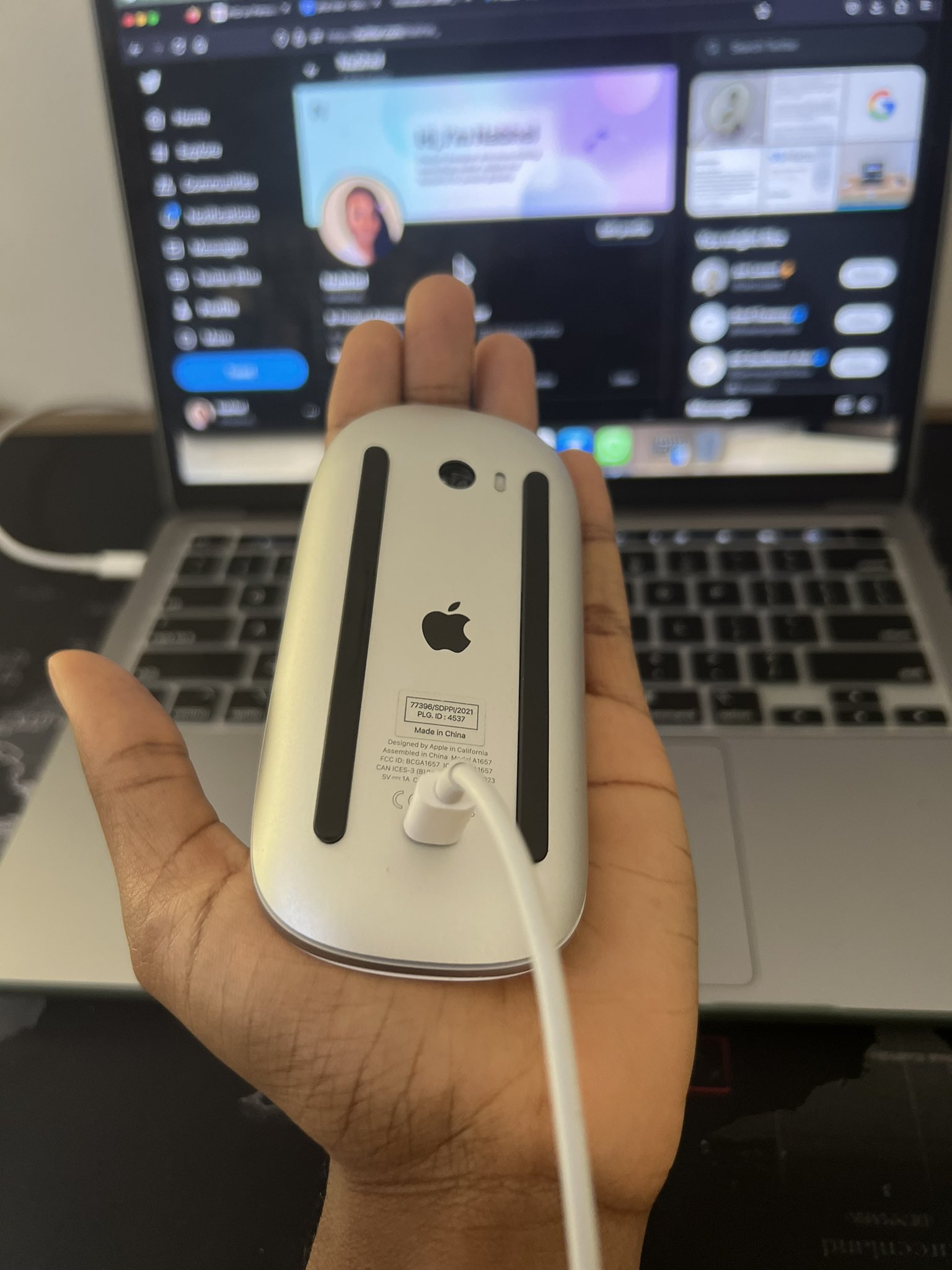 Apple Magic Mouse Battery