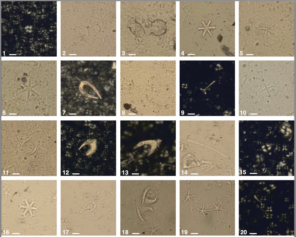 窪田 薫(@kaoryu) - Twilog (ツイログ)