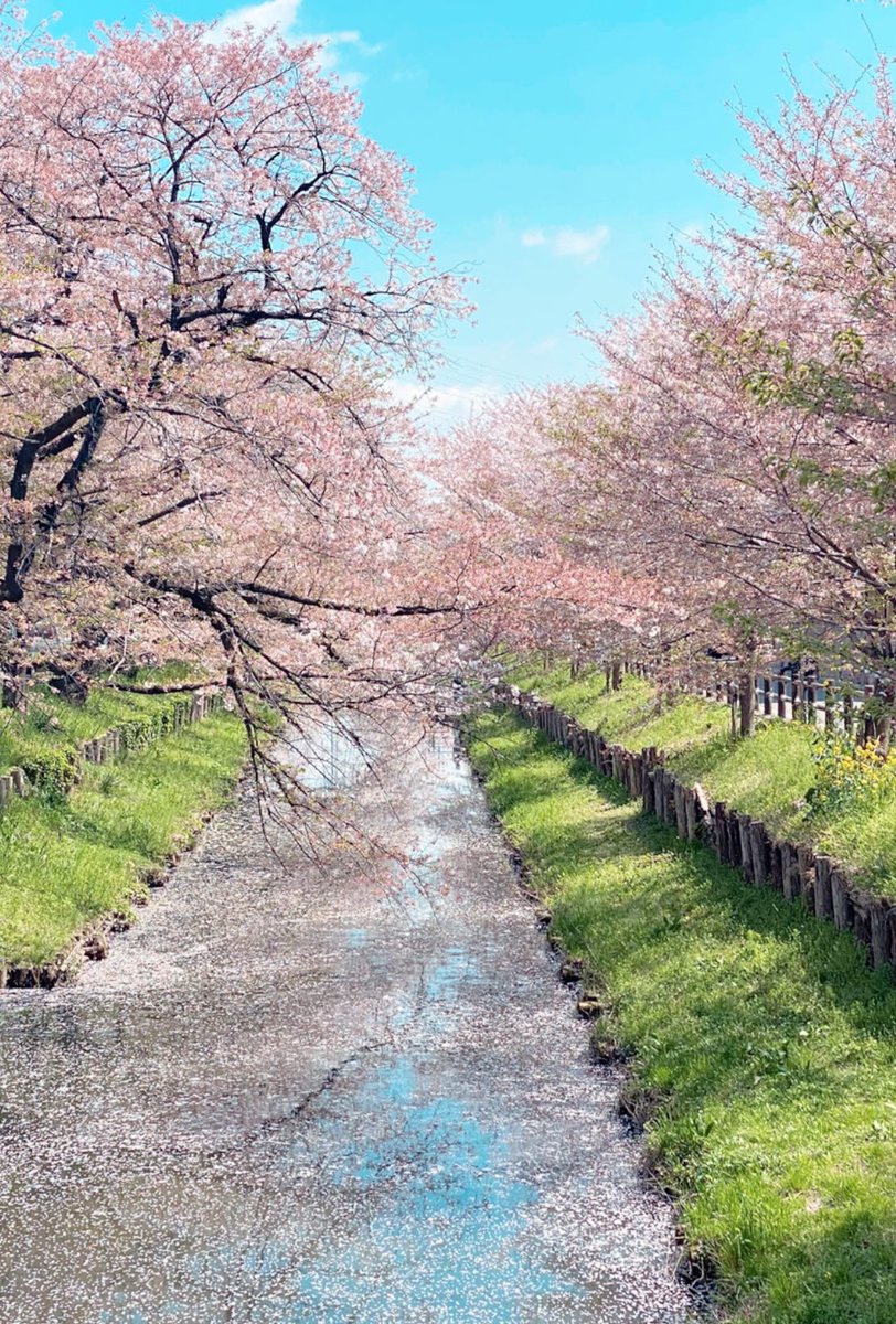 ERIMO🍓12/3ティア【あ26b】12/30冬コミ【ツ35b】(@ERIMO_WKS) - Twilog