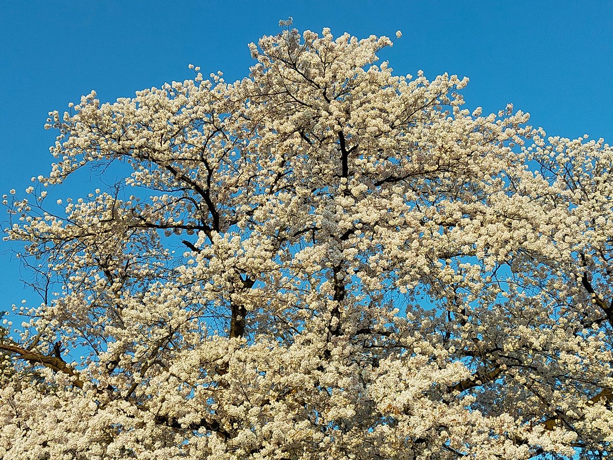 松井グローカル合同会社(@matsui_glocal) - Twilog (ツイログ)