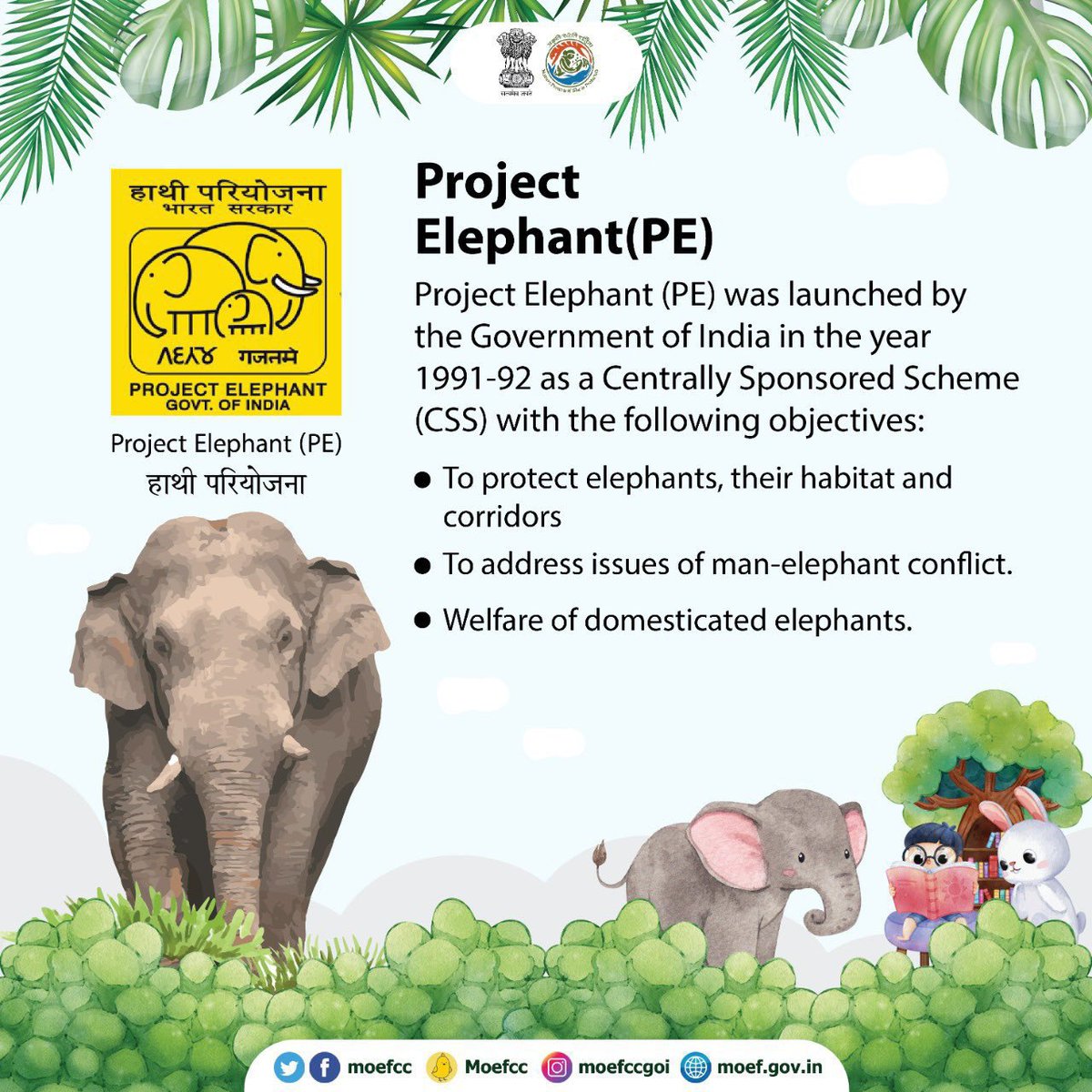 PROJECT ELEPHANT : Project Elephant was launched by the Government of ...