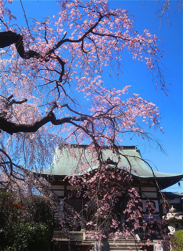 yokohama hirorin(@italiaspeed) - Twilog (ツイログ)