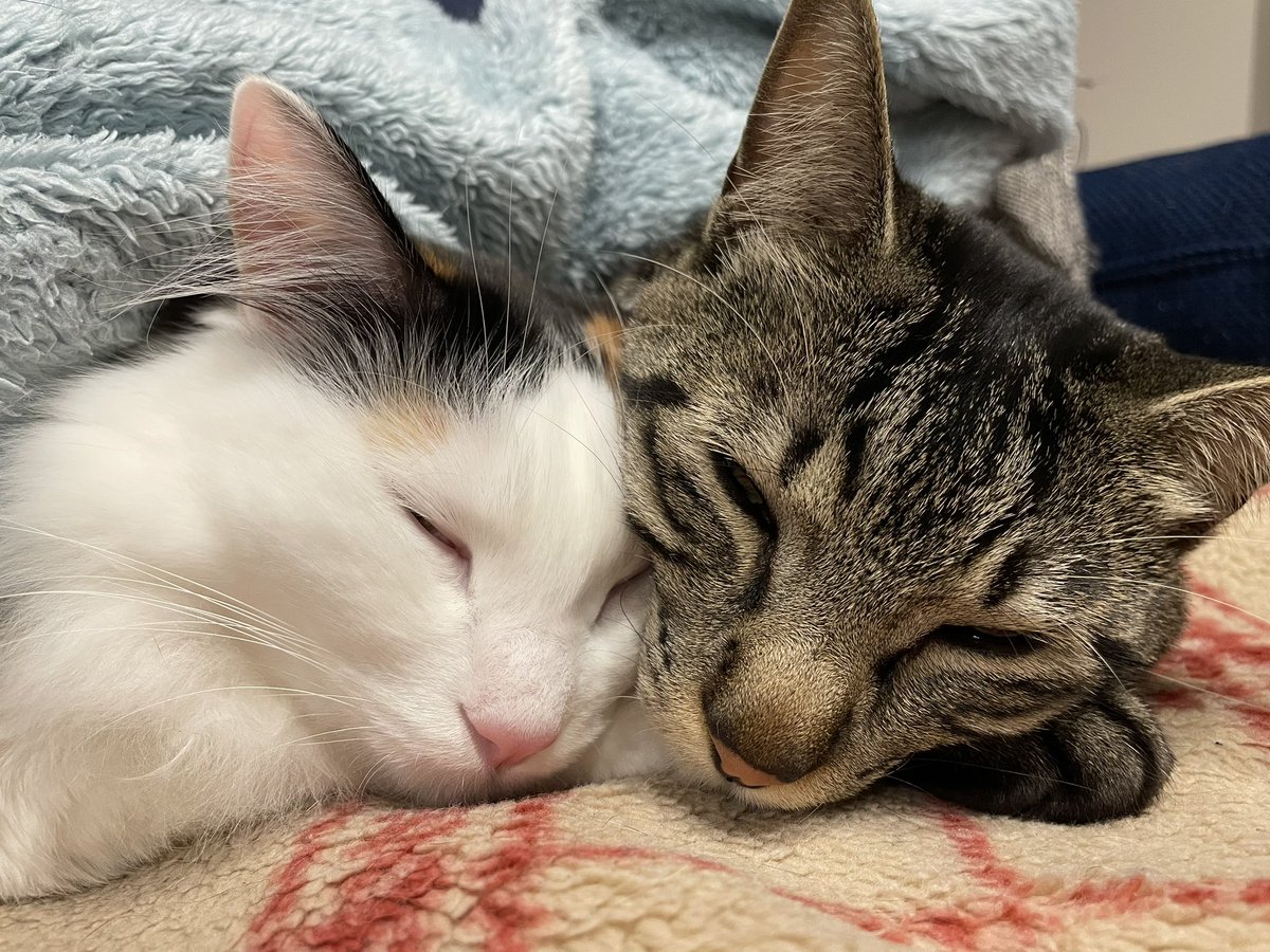 Masataka HIGUCHI(@HIGUCHI_MA) - Twilog