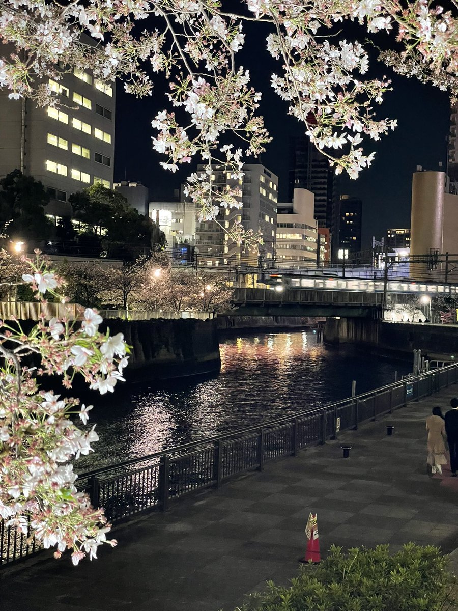 obuno kiraa(@nobby81) - Twilog (ツイログ)