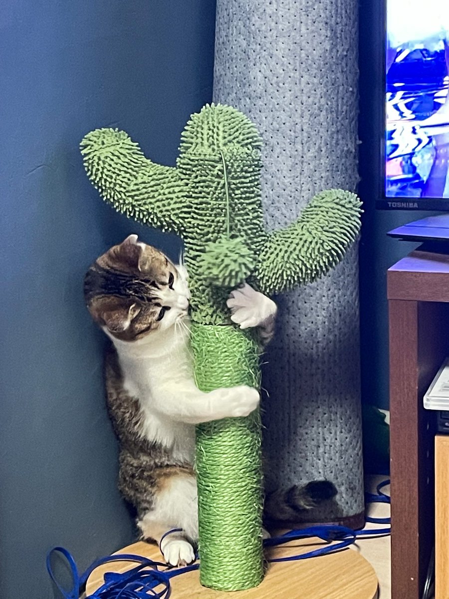 うえはる(@mizugiwa_uehr) - Twilog (ツイログ)