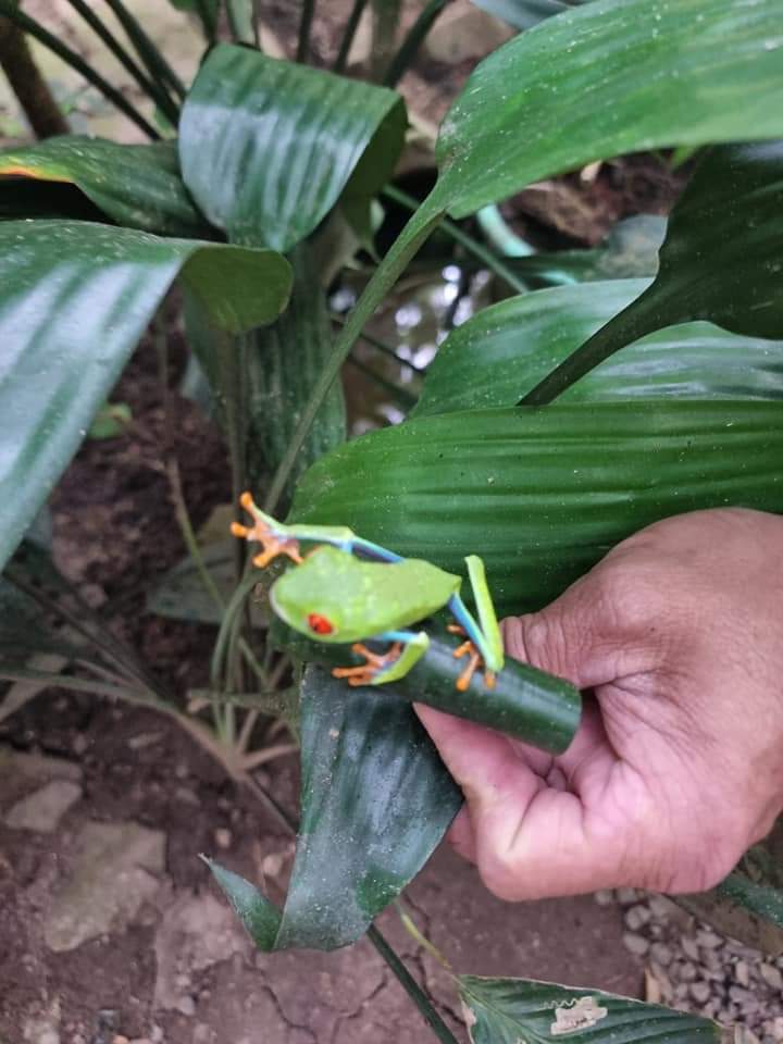 Luis Mejia - Dev on Twitter: