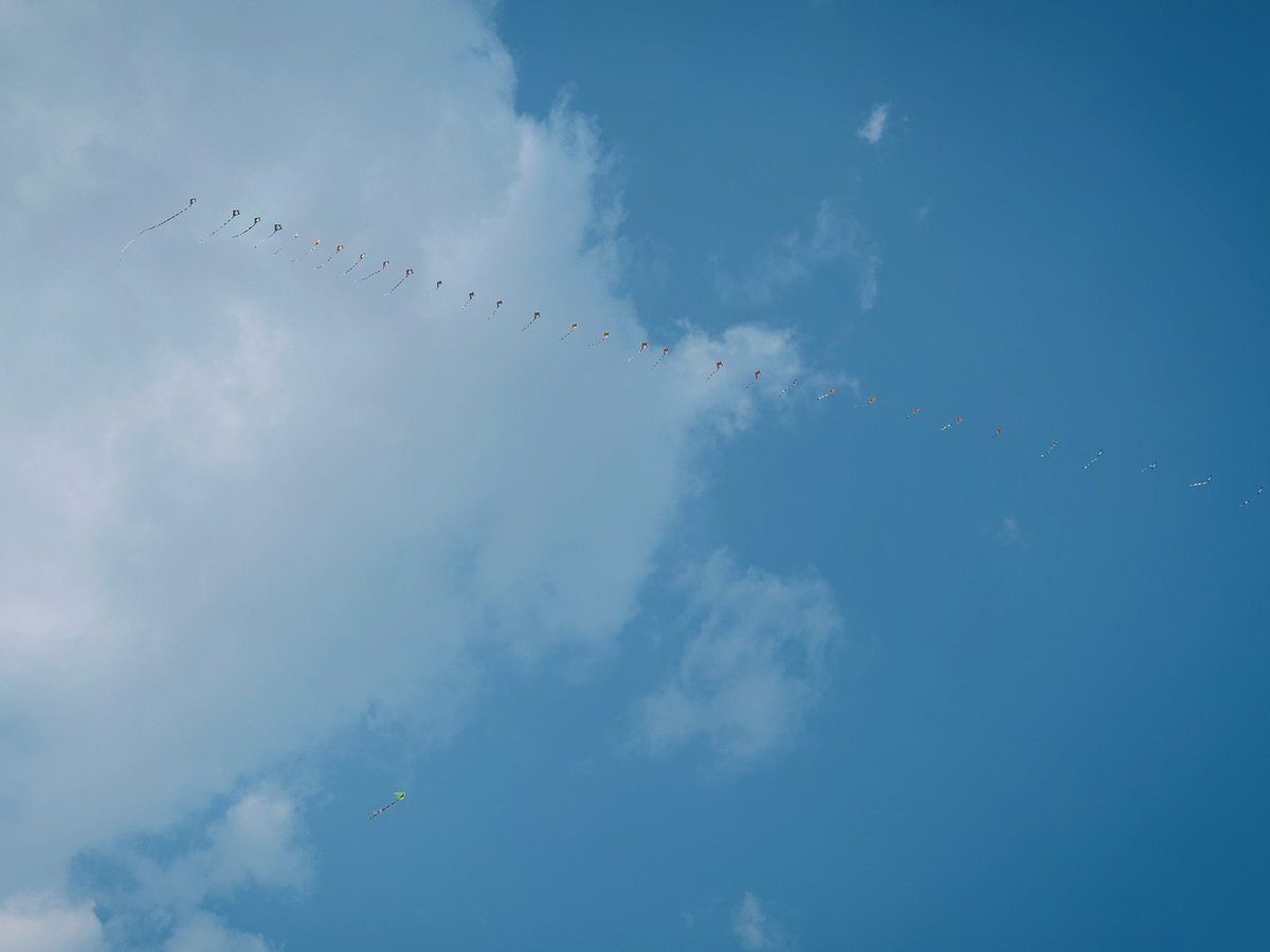 miyata🦭(@dev_miyat) - Twilog