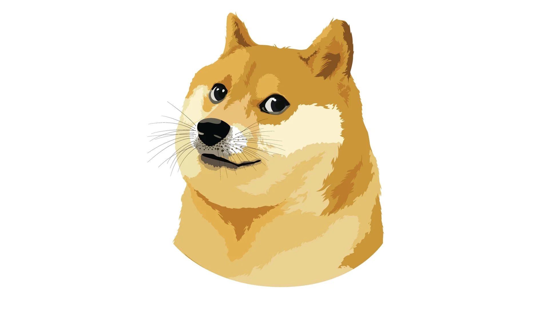 Shibe Doge Meme Wallpaper