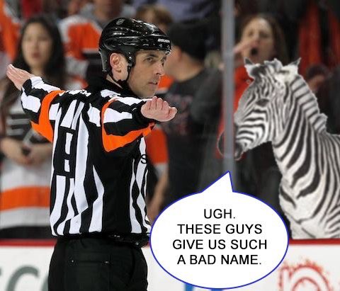 Zebra Referee Bad Call