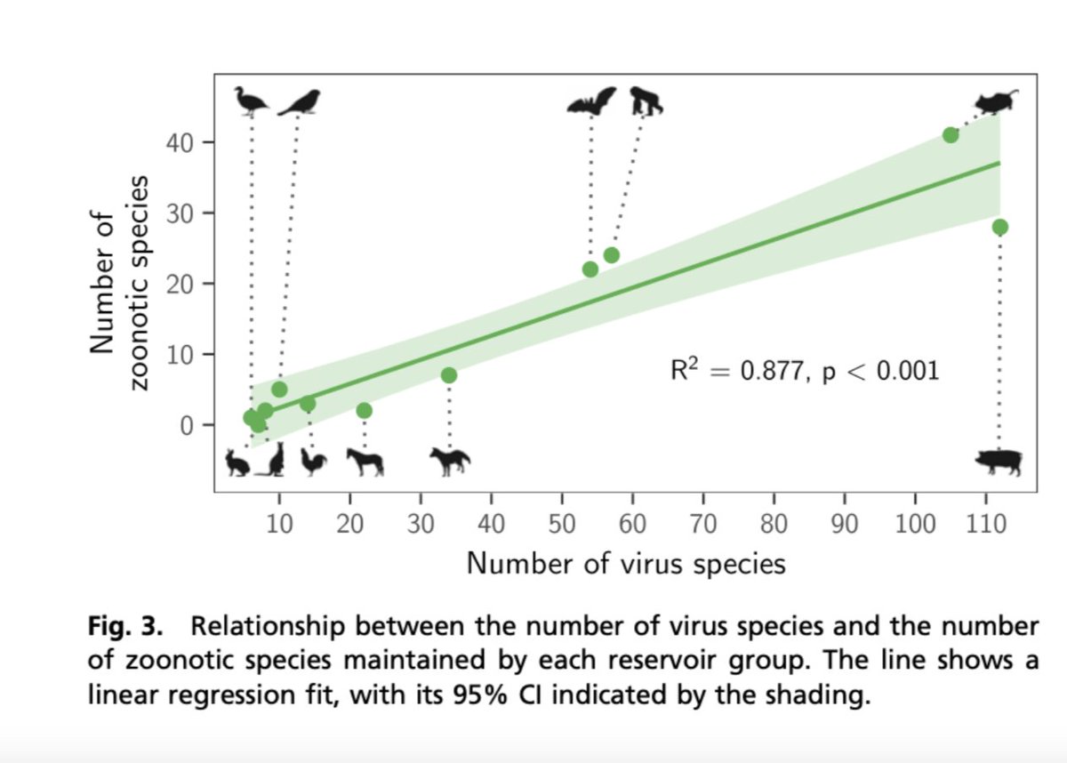 Marion Koopmans, virology; emerging infections on Twitter: Marion Koopmans, virology; emerging infections on Twitter: