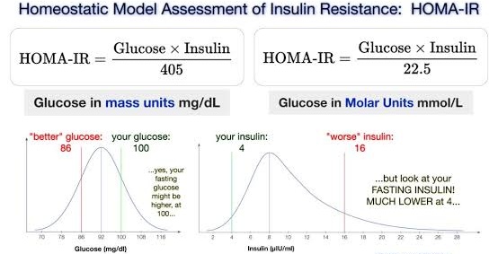 📌 𝗜𝗻𝘀𝘂𝗹𝗶𝗻 𝗥𝗲𝘀𝗶𝘀𝘁𝗮𝗻𝗰𝗲 // THREAD // - Thread from Mind Muscle Project ...