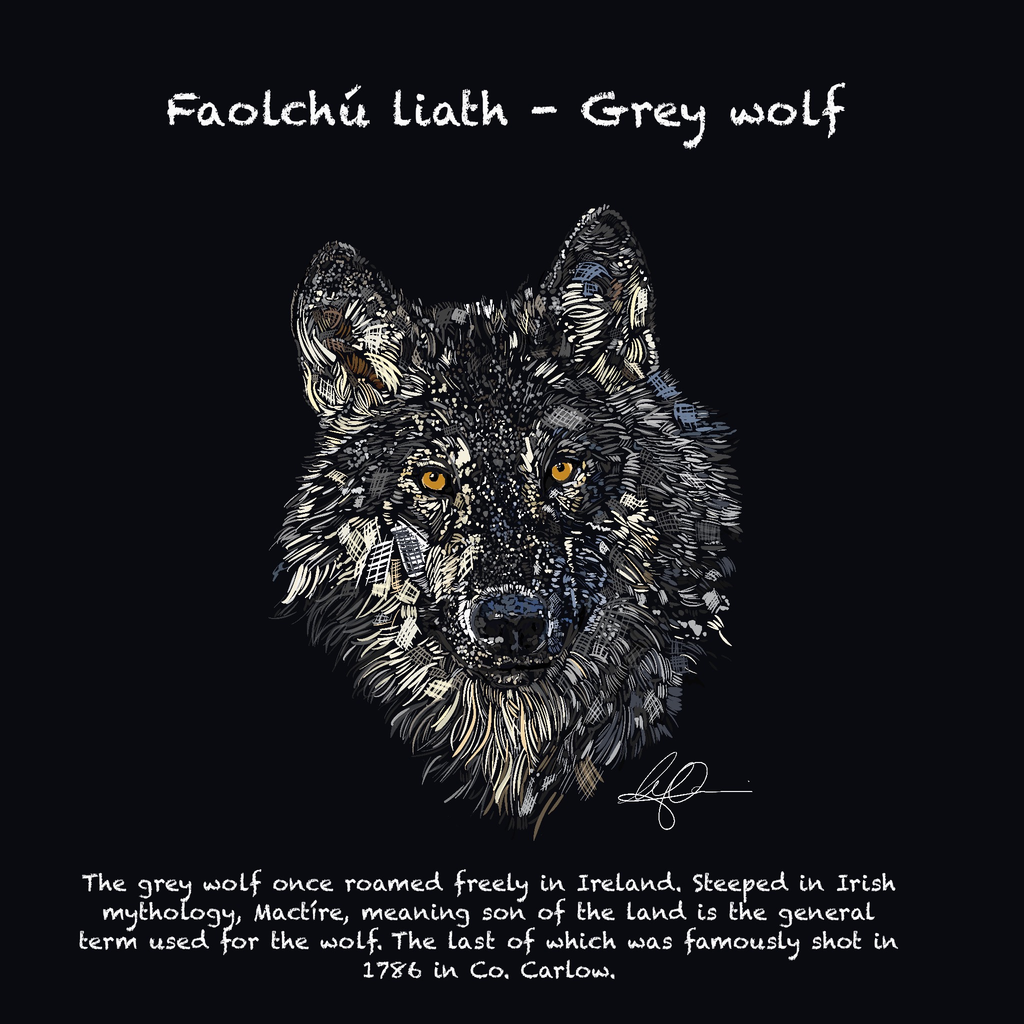 Grey Wolf Series Quotes A Wolf, Arctic, Words, Black, Abstract,