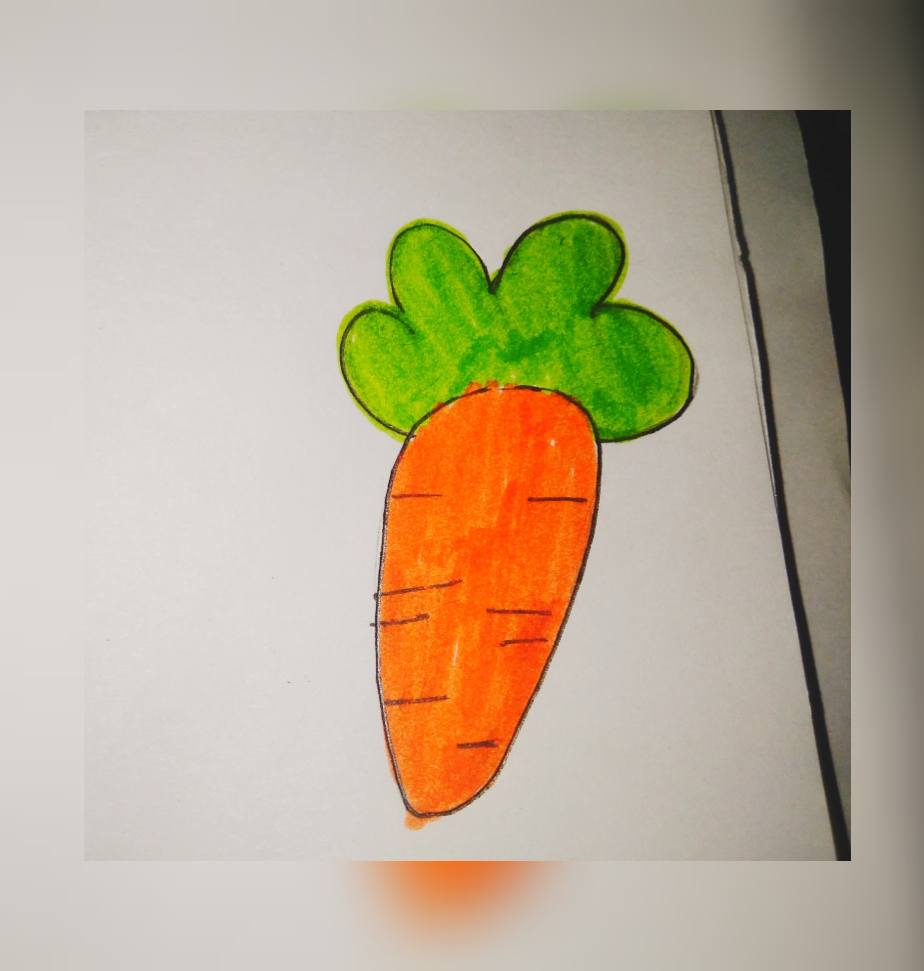 Carrot Drawing