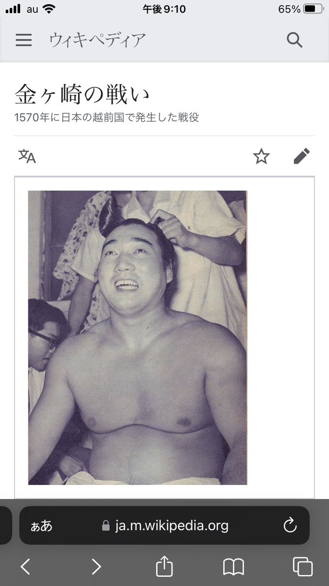 開花前に才能が枯れたかとにゃん\( 'ω')／ on Twitter: "( ﾟдﾟ) な に こ れ https://ja.wikipedia.org/wiki/%E9%87%91%E3 ...