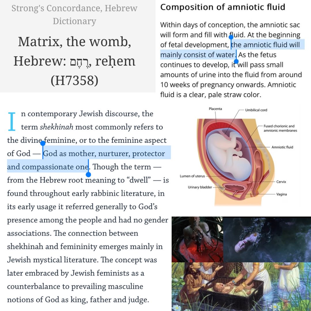 “The most famous (or infamous) of Ashlag’s indirect disciples is Rabbi ...
