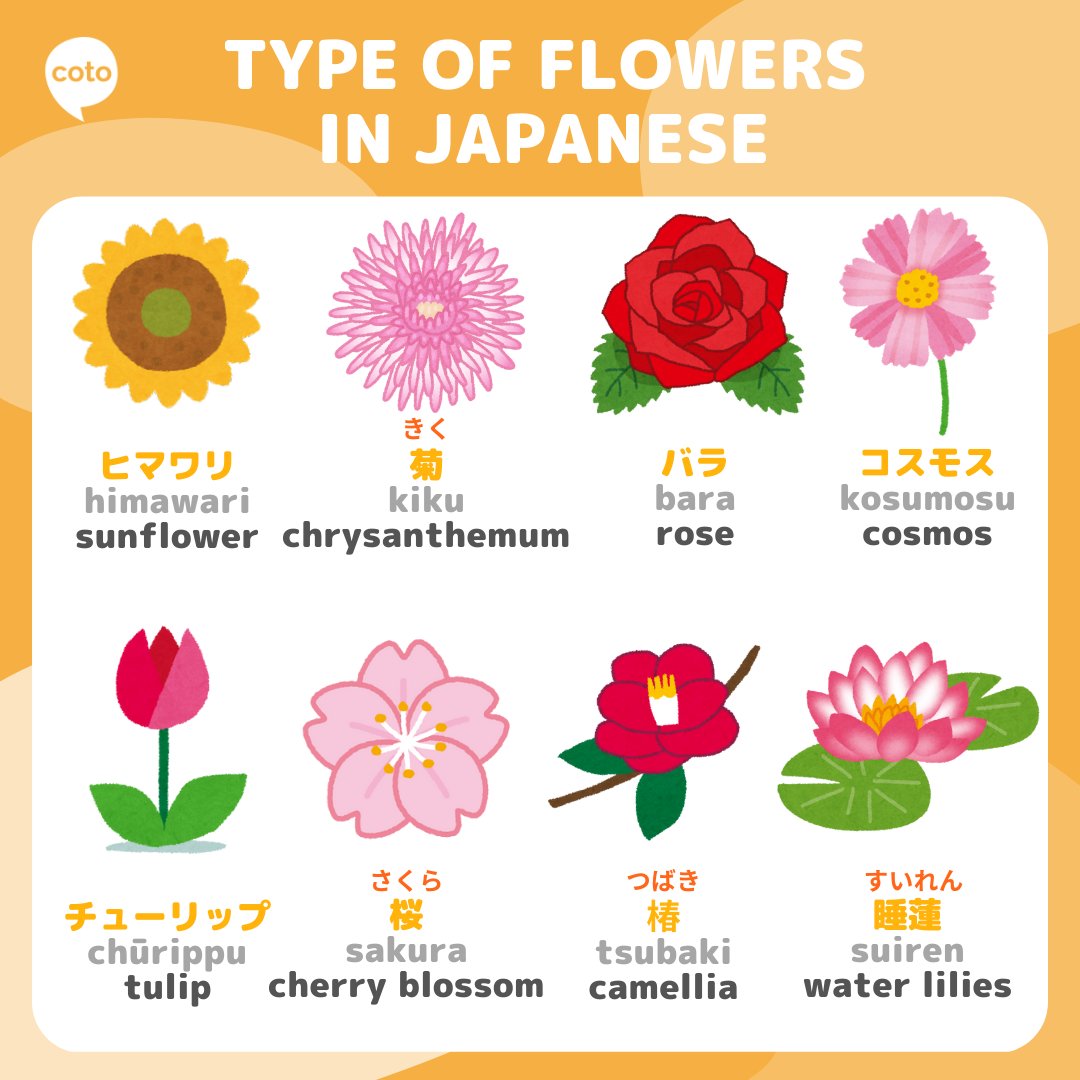 Coto Japanese Academy | Japan on Twitter: "こんにちは！Spring is here and a ...