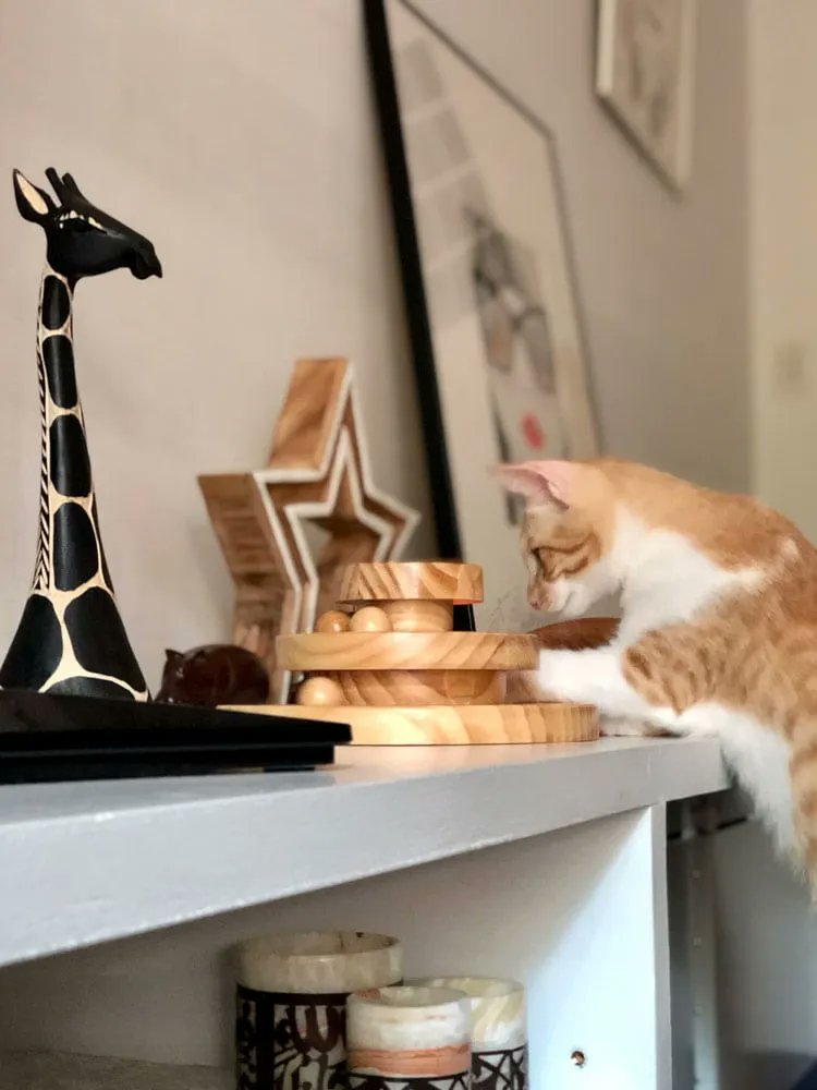 GINZA on Twitter: "【 #私と部屋 】みんなが集う2LDK。フルリノベーションで形にした、それぞれの自由なスタイルhttps://ginzamag.com/lifestyle ...