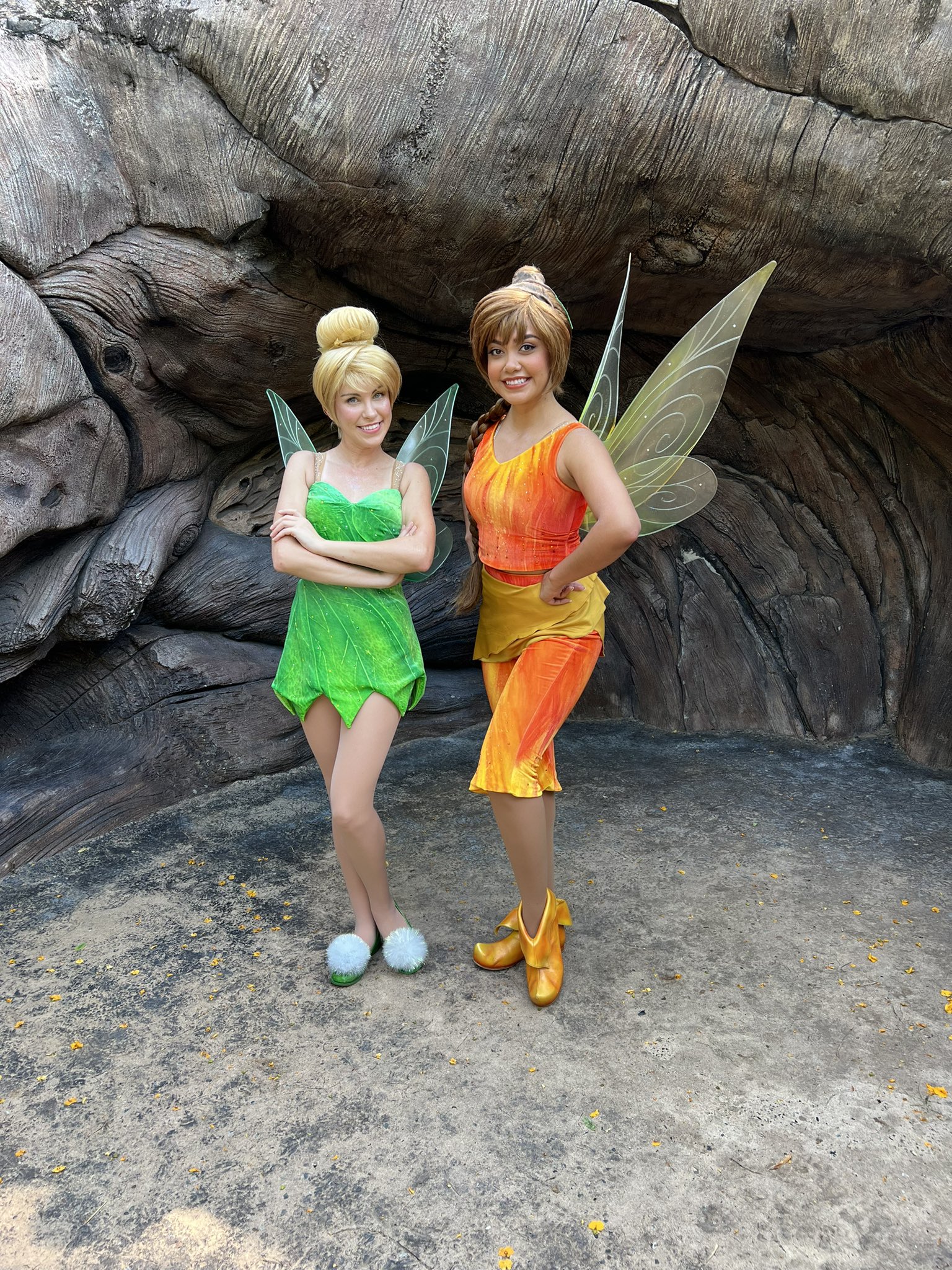 Tinkerbell And Peter Pan Disney World