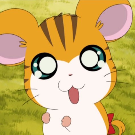 Hamtaro Sandy And Stan