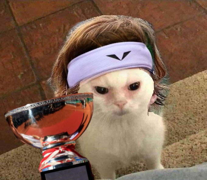 Baseball Cat Memes