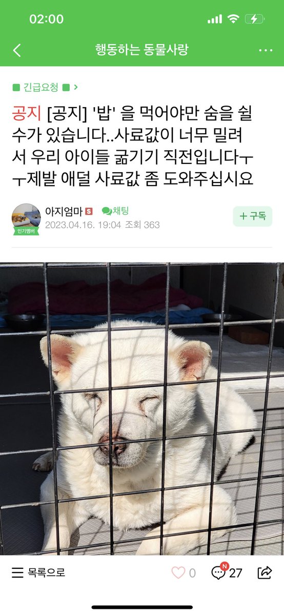 아비요헤드 on Twitter: "RT @notsaltbutsugar: https://cafe.naver.com/pajupetlove/115944… 원본 글 링크입니다 ...