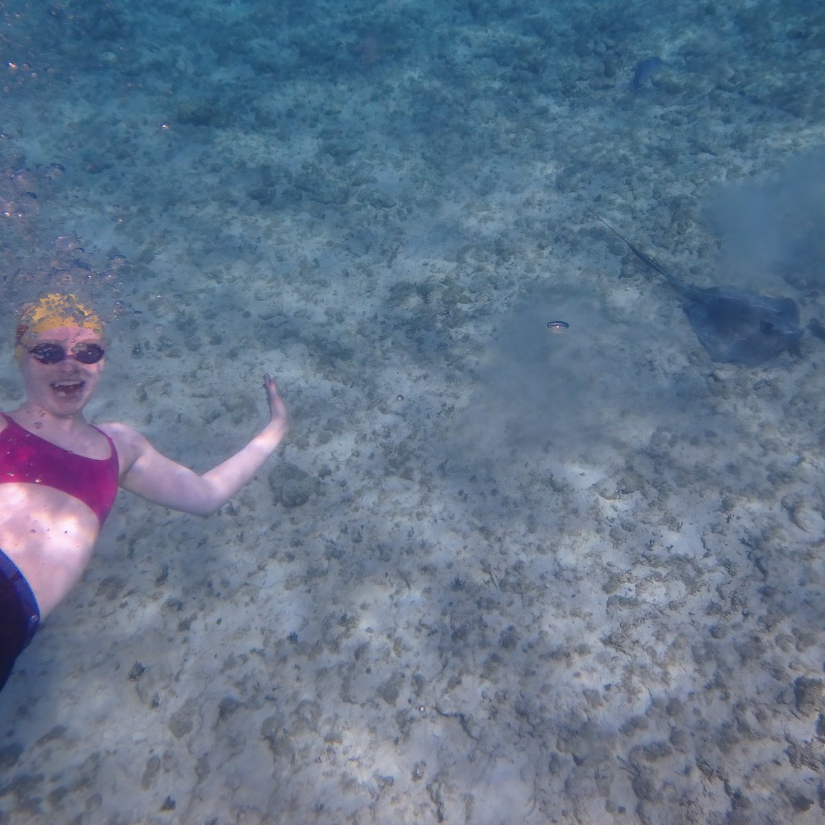 Swim Alberta on Twitter: "Competing in the clear waters of the Cayman Islands🇰🇾 Emma Finlin and ...