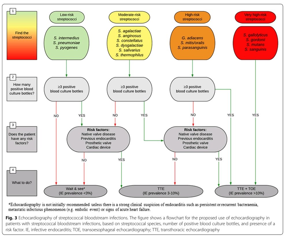 All about #Streptococcal #IE After today's updates in #ECCMID2023 about ...